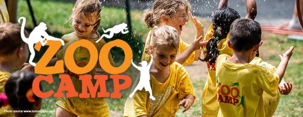 Toronto Zoo Summer Camp | Wildlife Adventures for Kids & Teens